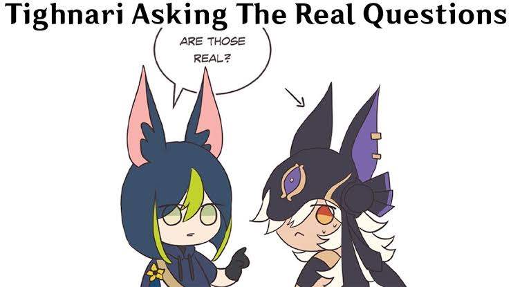 TIGHNARI MEME Genshin Impact | HoYoLAB
