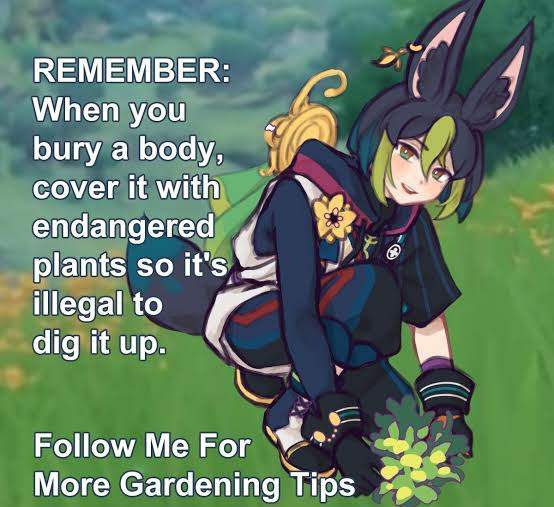 TIGHNARI MEME Genshin Impact | HoYoLAB