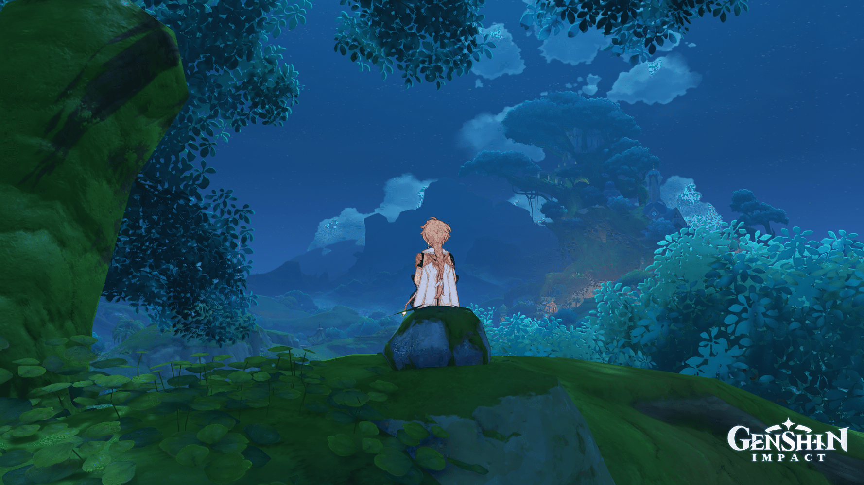 First night in Sumaru Genshin Impact | HoYoLAB