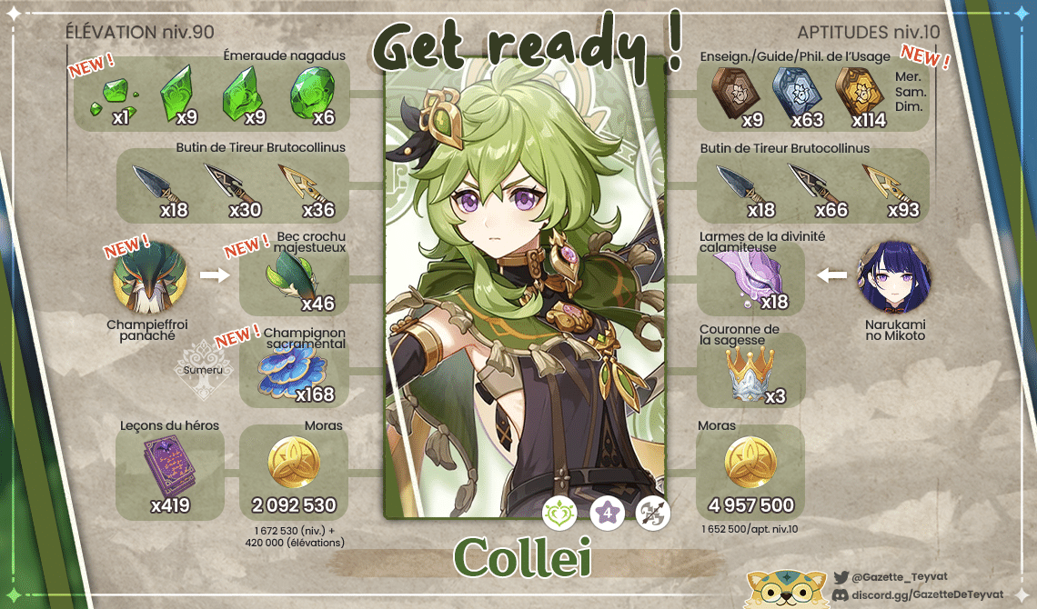BUILD 3.0 Collei | Guide du personnage Genshin Impact | HoYoLAB