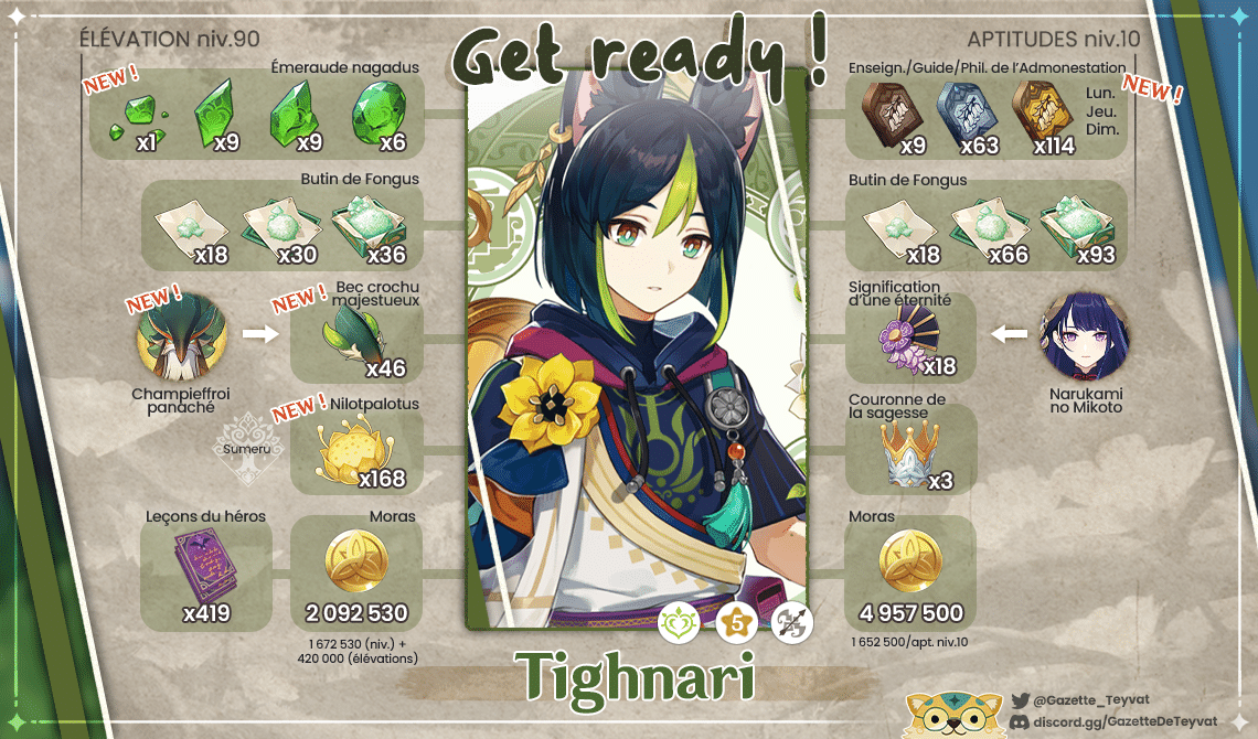 BUILD 3.0 Tighnari | Guide du personnage Genshin Impact | HoYoLAB