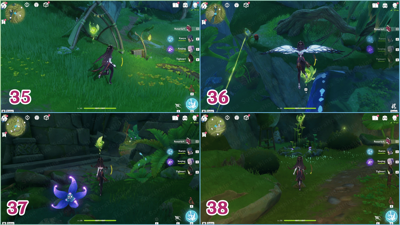 [V3.0] All 110 Dendroculus Location in Sumeru | Genshin Impact | HoYoLAB
