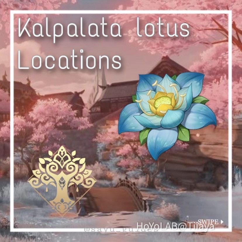 Kalpalata lotus locations Genshin Impact | HoYoLAB
