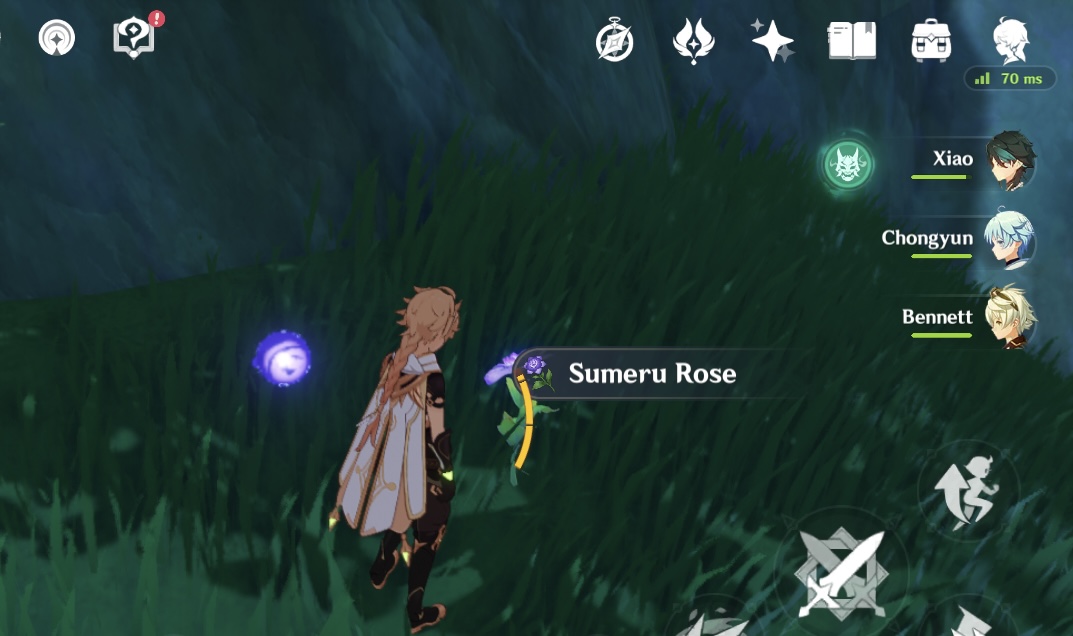 These roses are pretty Genshin Impact | HoYoLAB