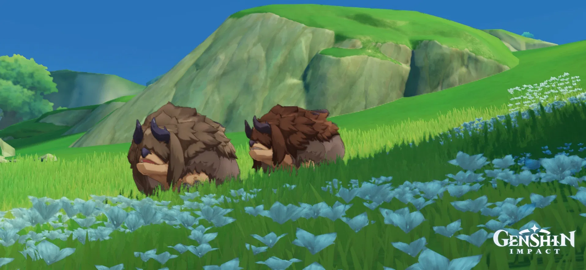 Planet Teyvat Genshin Impact | HoYoLAB