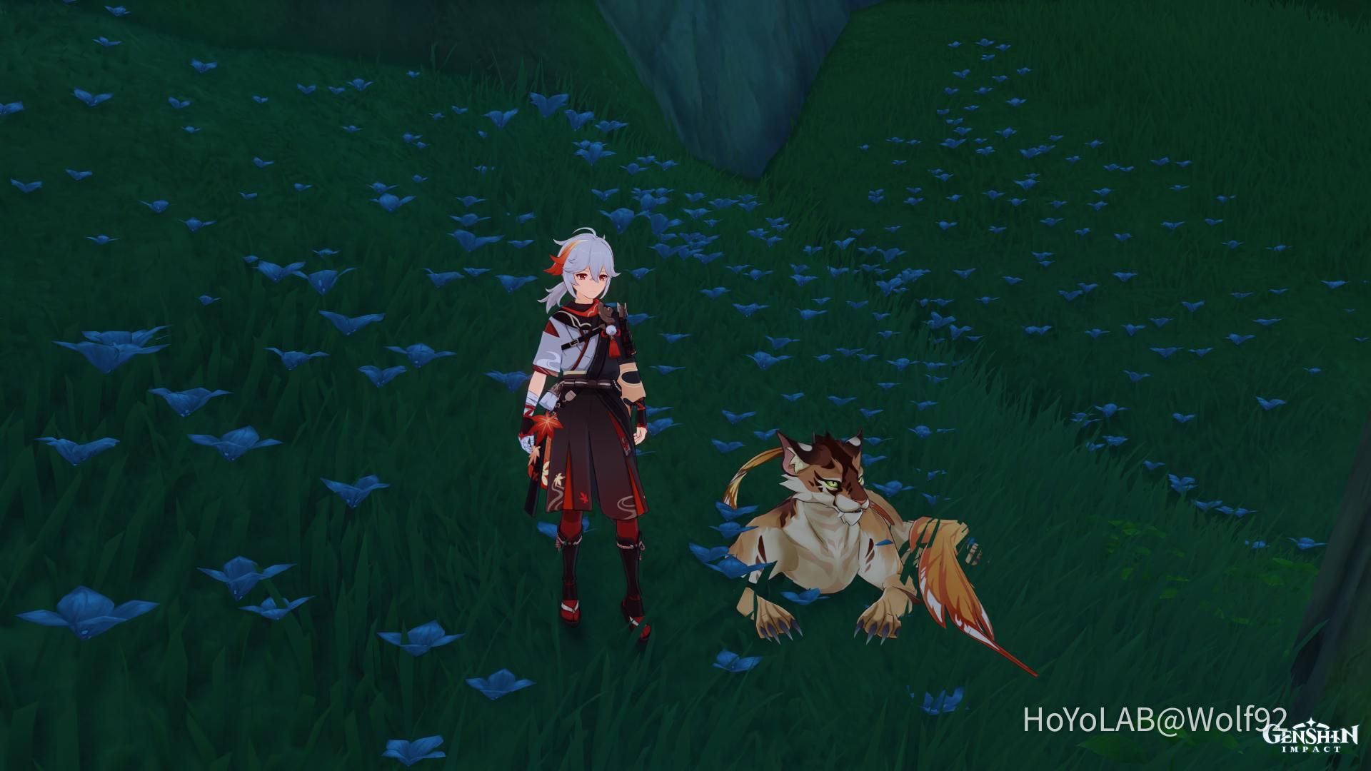 Contemplando la fauna de sumeru Genshin Impact | HoYoLAB