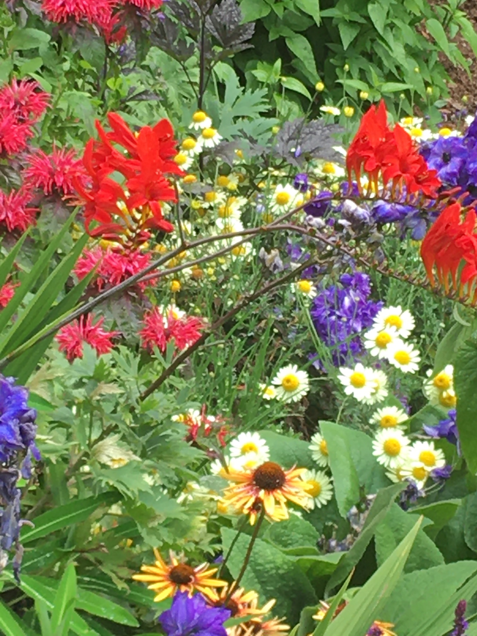 Daily life of a forest watcher event! Genshin Impact | HoYoLAB