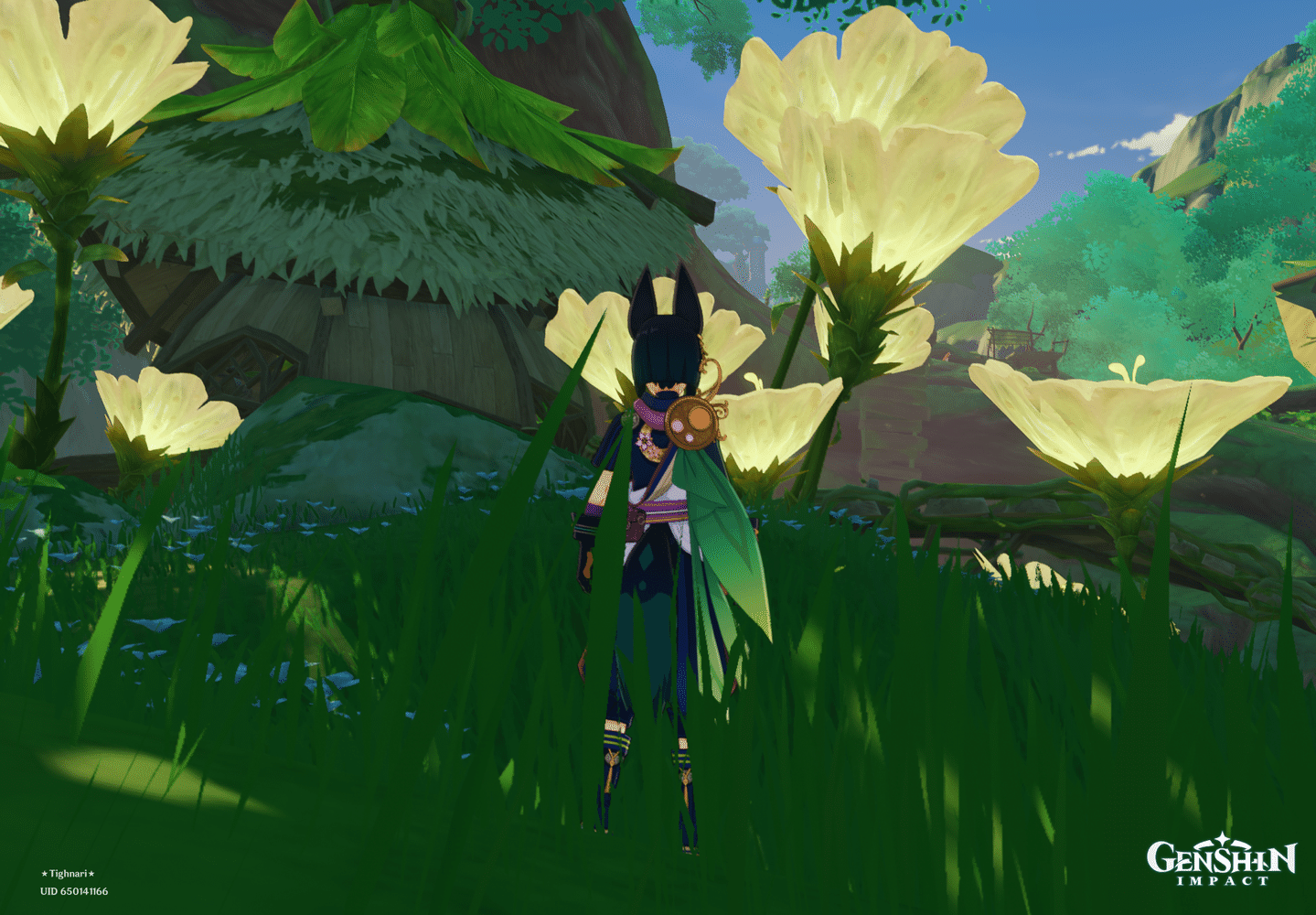 My favorite plants in Sumeru Genshin Impact | HoYoLAB