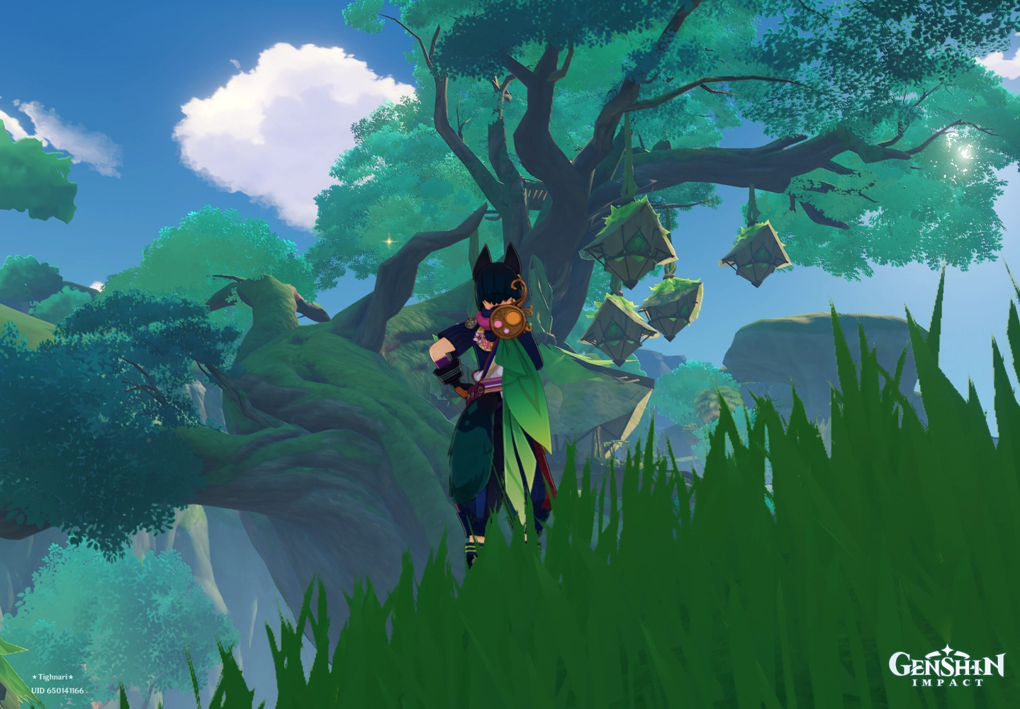 My favorite plants in Sumeru Genshin Impact | HoYoLAB