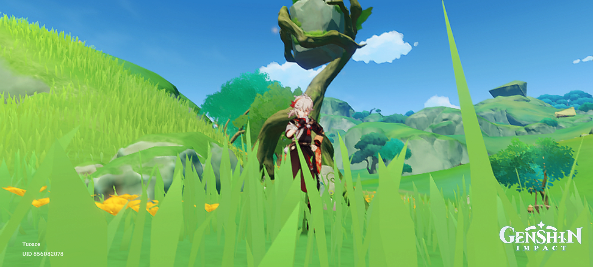 in the land of sumeru Genshin Impact | HoYoLAB