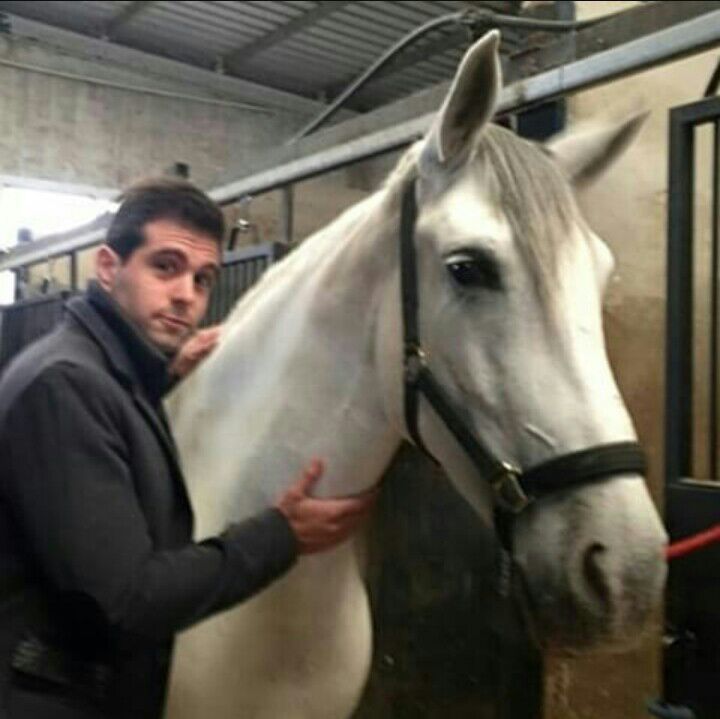 Jaja Genshin Impact | HoYoLAB