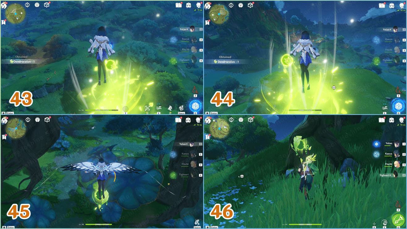 [V3.0] All 110 Dendroculus Location in Sumeru | Genshin Impact | HoYoLAB