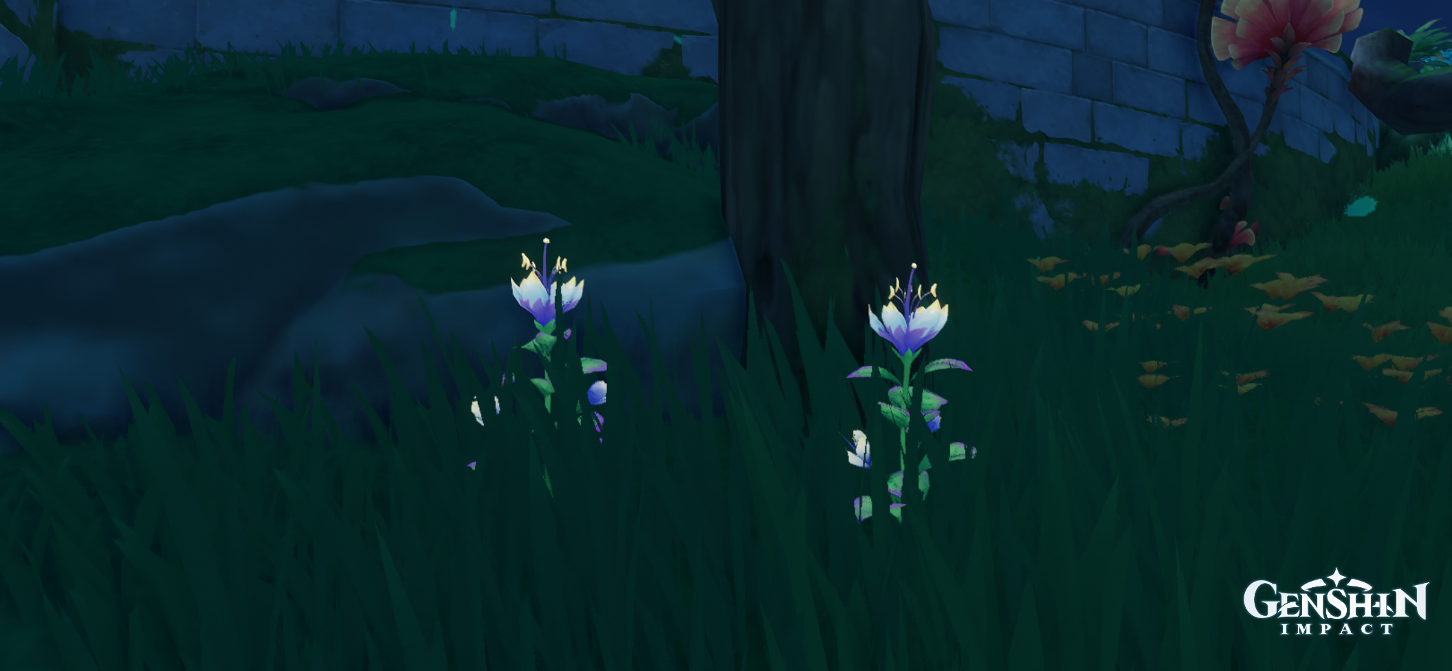 Flora & fauna Genshin Impact | HoYoLAB