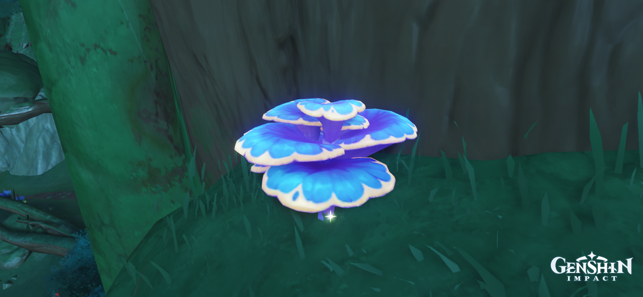 Flora & fauna Genshin Impact | HoYoLAB