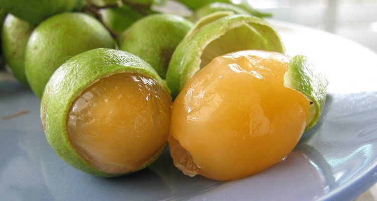 Preferences: Favorite Fruits! Genshin Impact | HoYoLAB