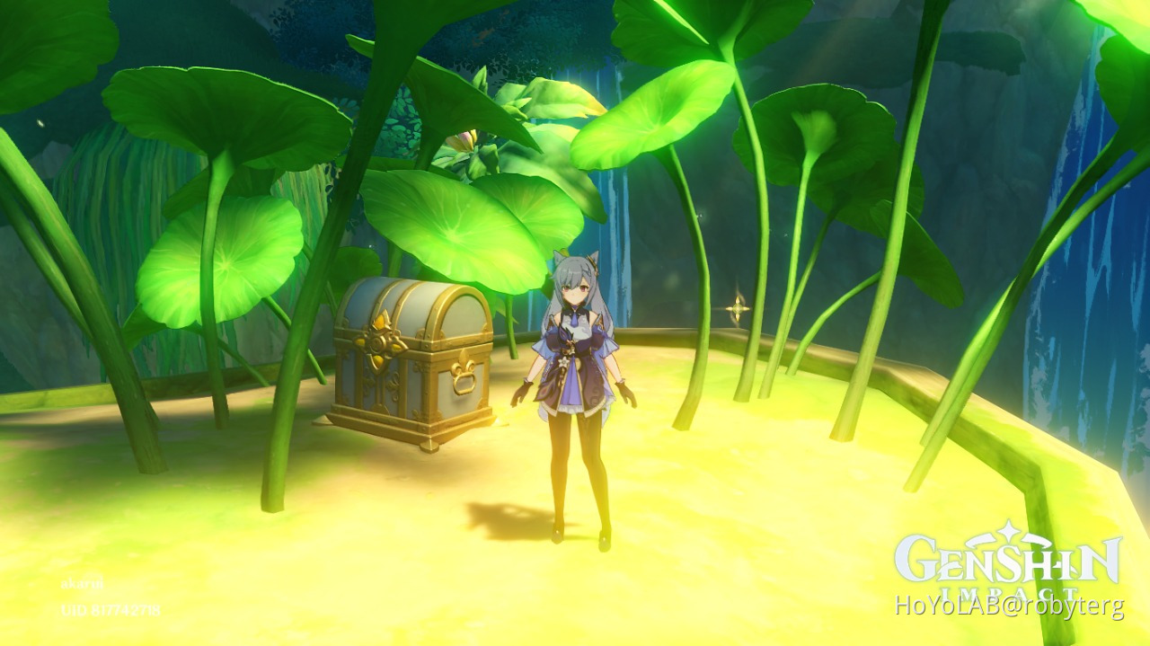 luxurious chest sumeru Genshin Impact | HoYoLAB