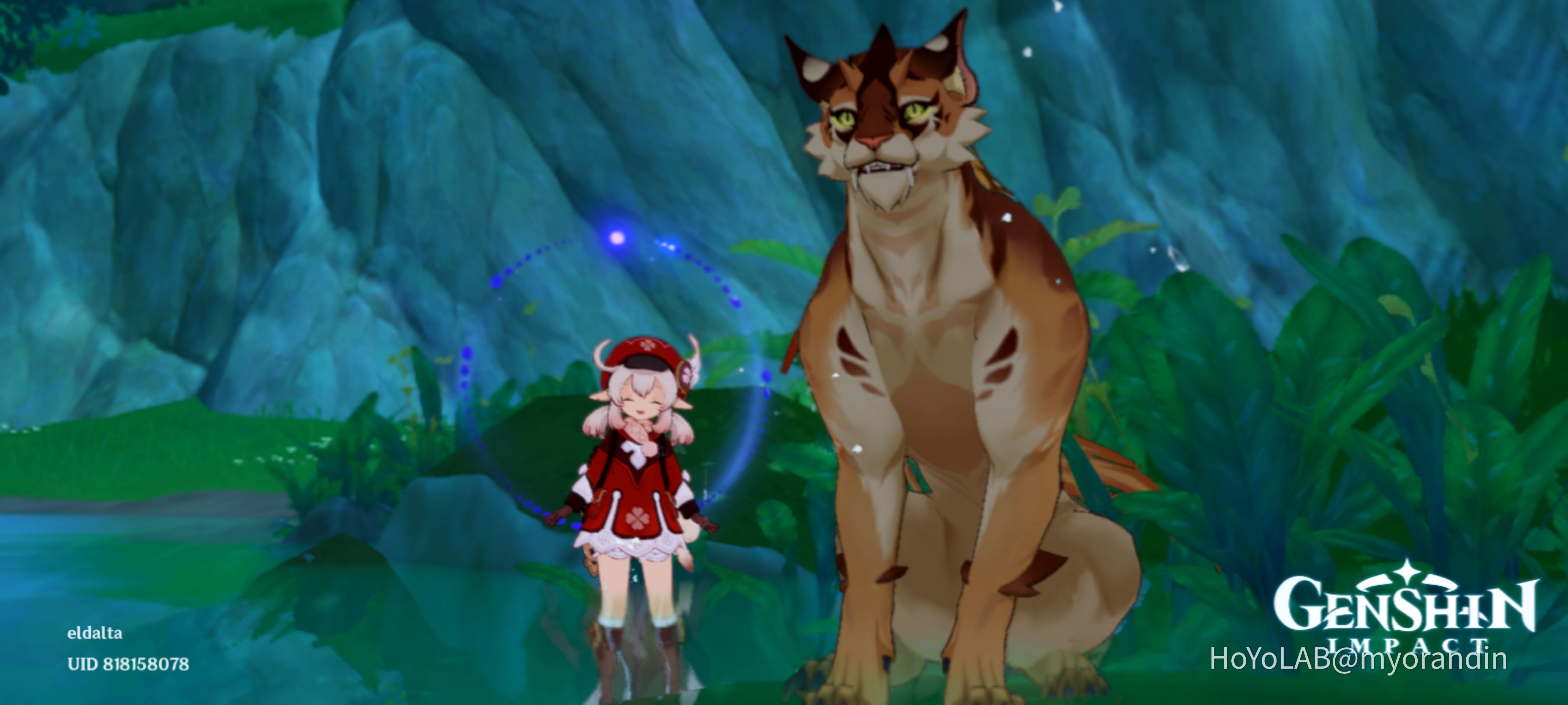 today photo with rishboland tiger Genshin Impact | HoYoLAB