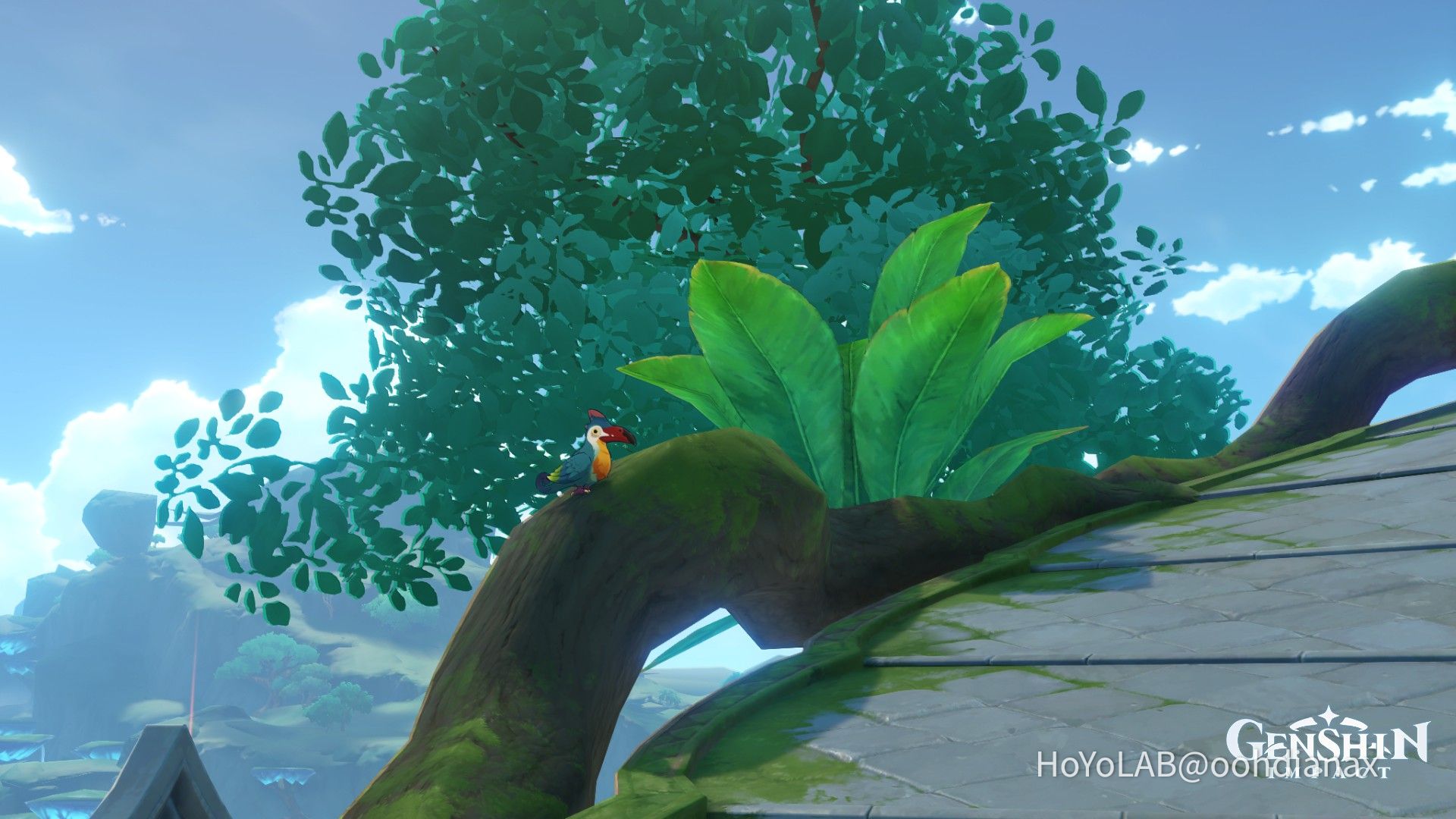 Animals in Sumeru 💚 | Genshin Impact | HoYoLAB