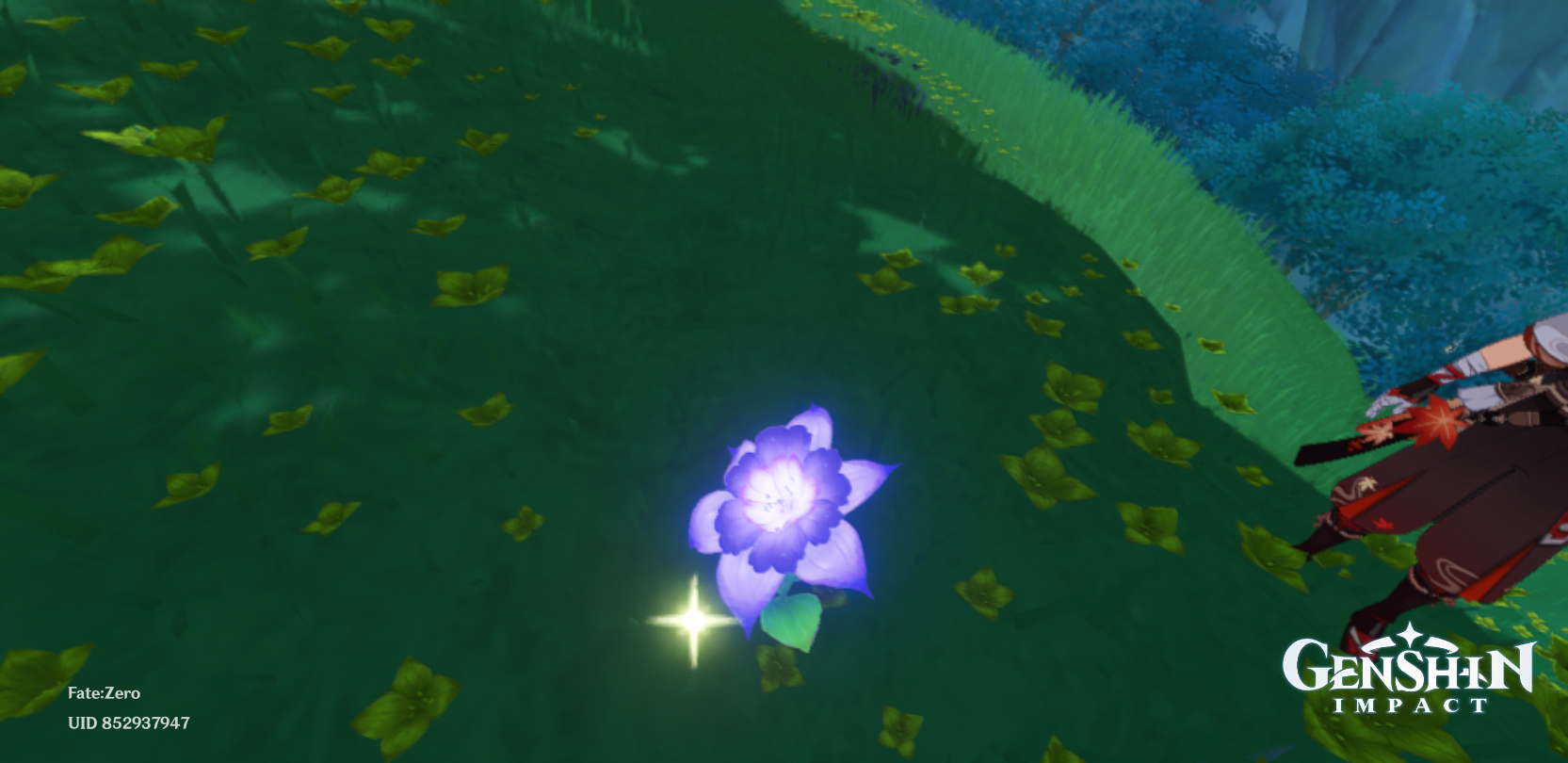 Most beautiful flower seen ever Genshin Impact | HoYoLAB