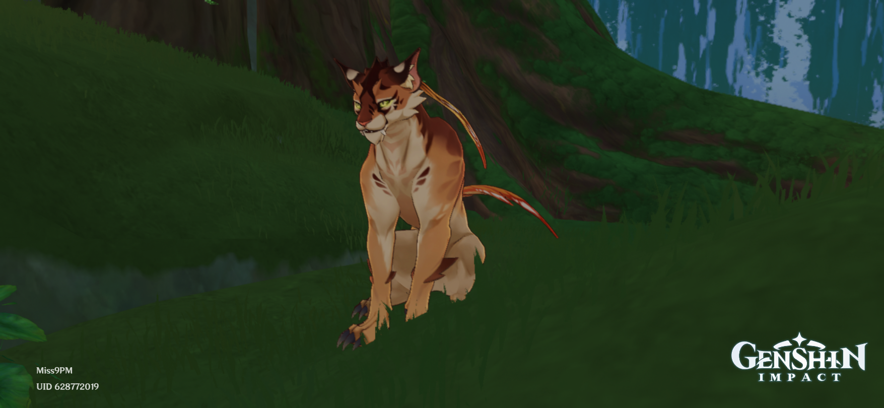 25 de agosto - Diario de aventurero de Sumeru Genshin Impact | HoYoLAB