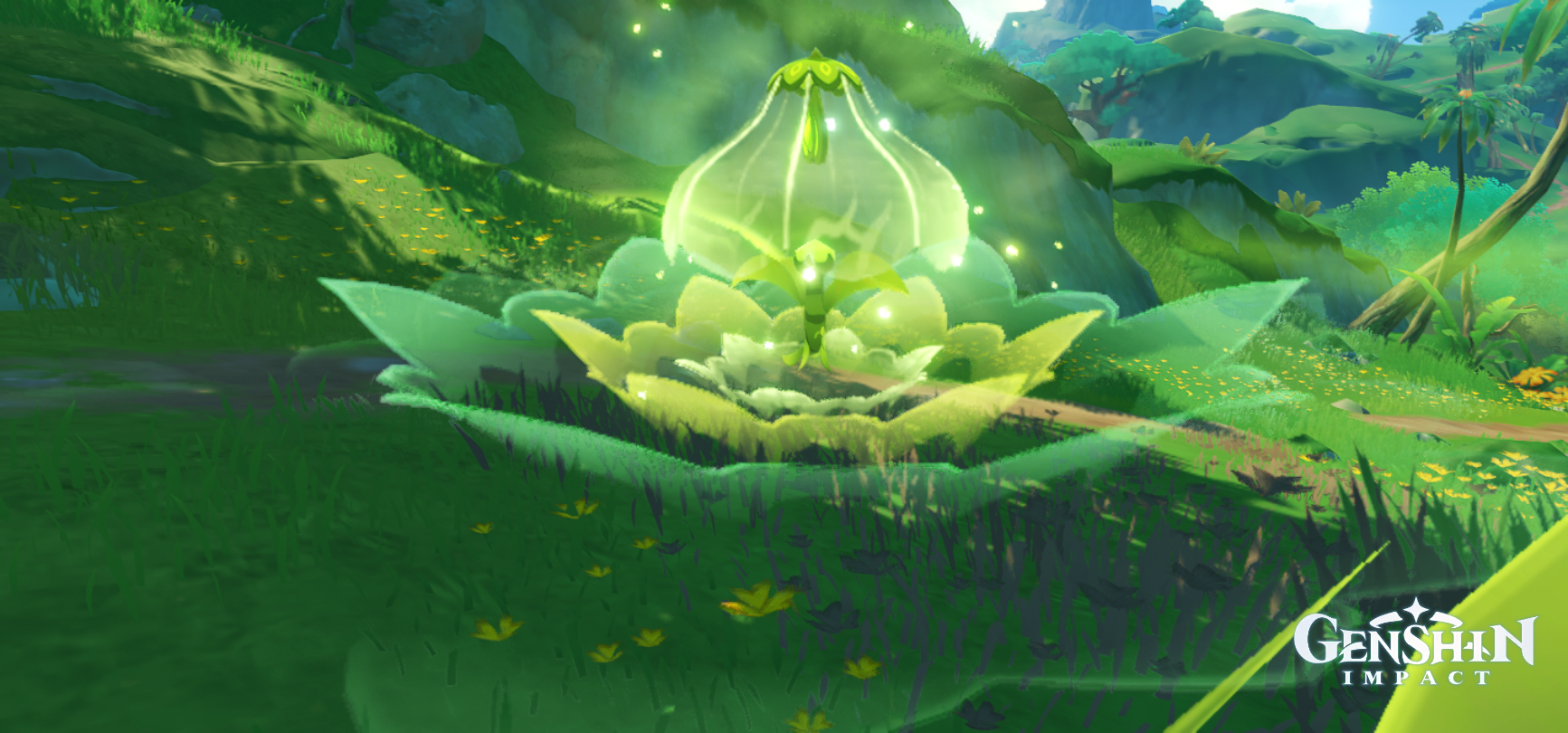 Sumeru Adventure Diary- August 26 Genshin Impact | HoYoLAB