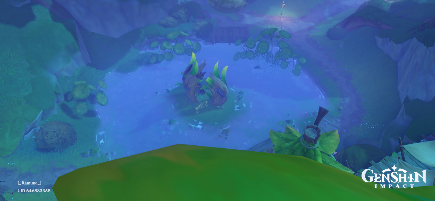 Where’s the Sumeru tree? Genshin Impact | HoYoLAB