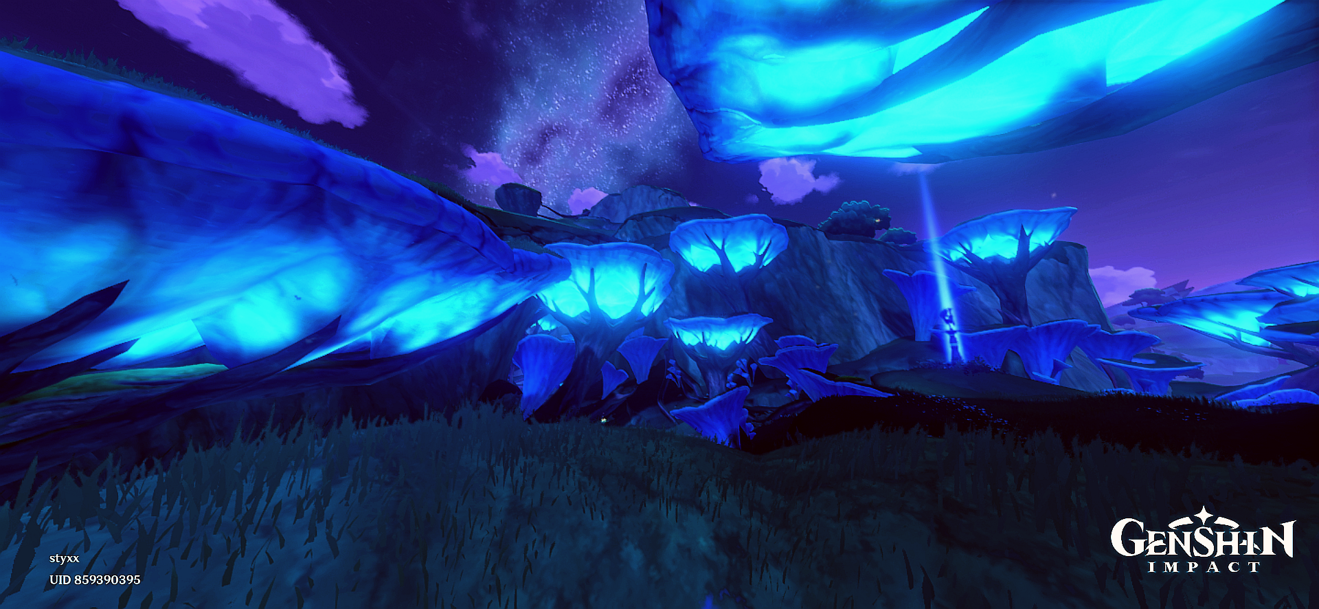 Gosh Sumeru is BEAUTIFUL Genshin Impact | HoYoLAB