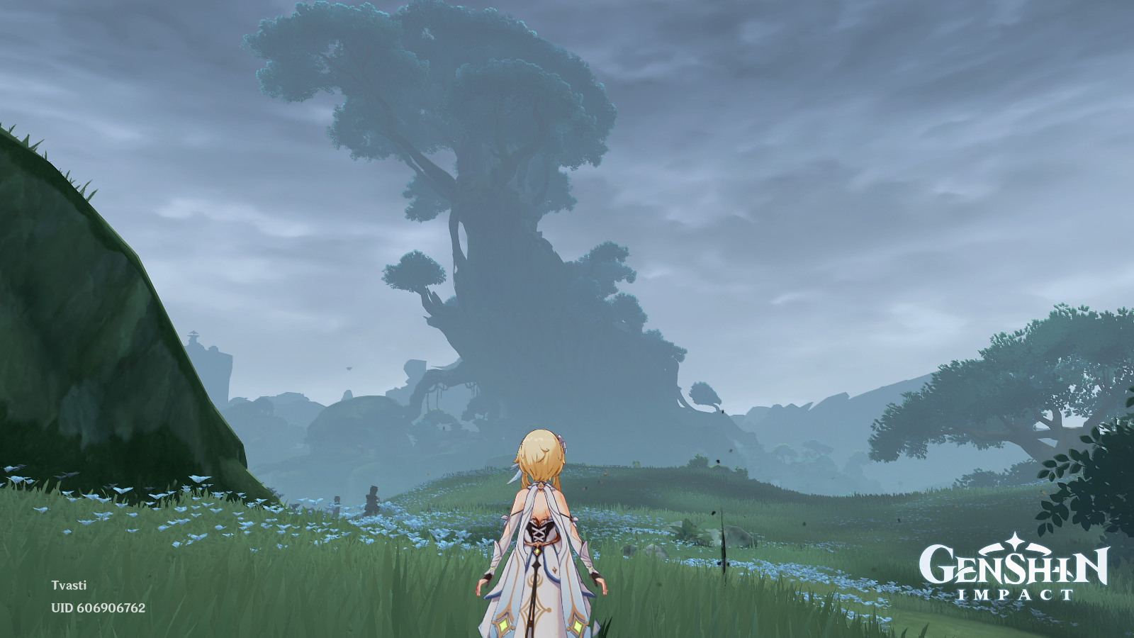 Sumeru Adventure Diary - August 25 Found a large tree Genshin Impact ...