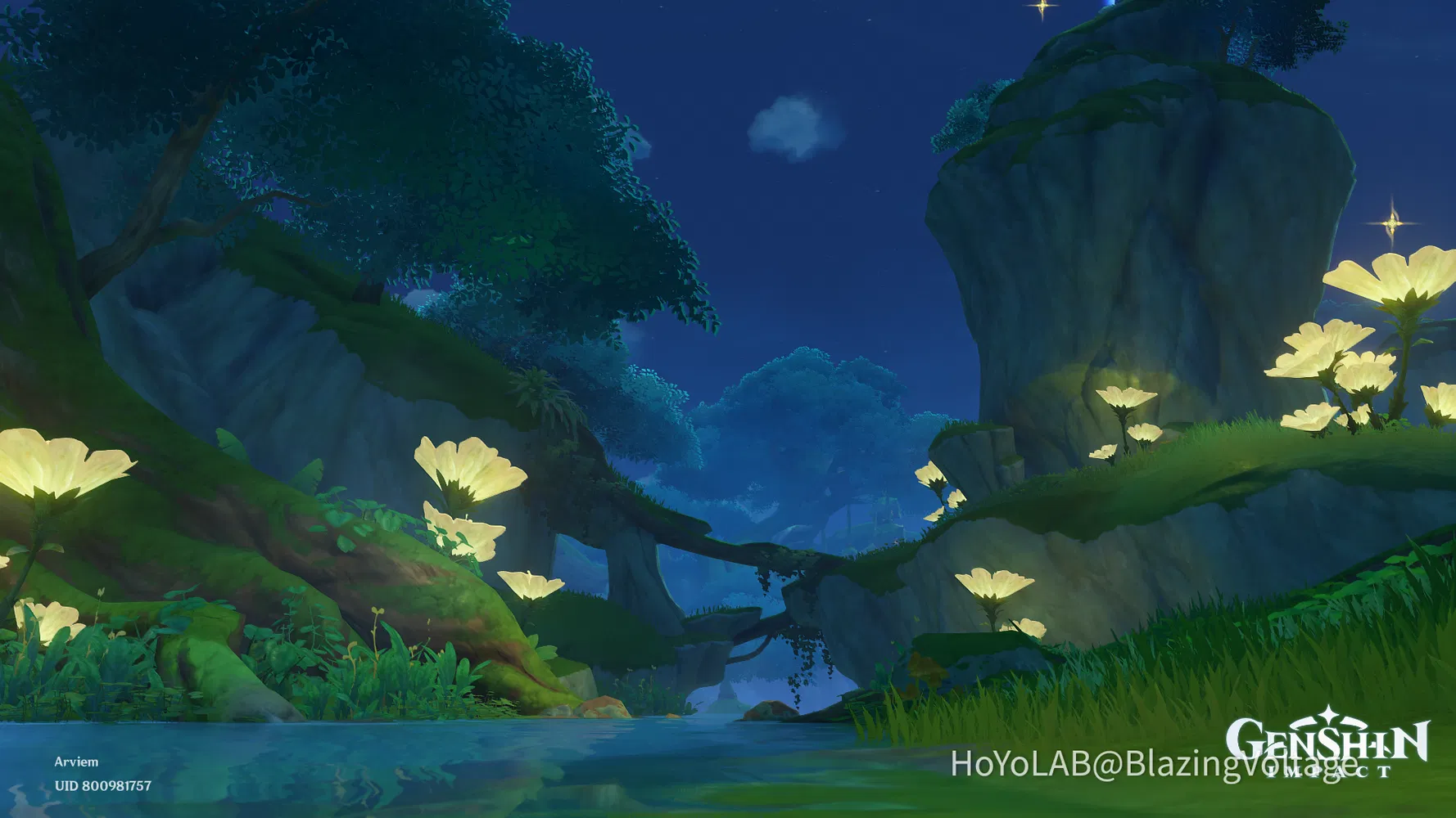 Sumeru's Special Creatures - Midnight Flowers Genshin Impact | HoYoLAB