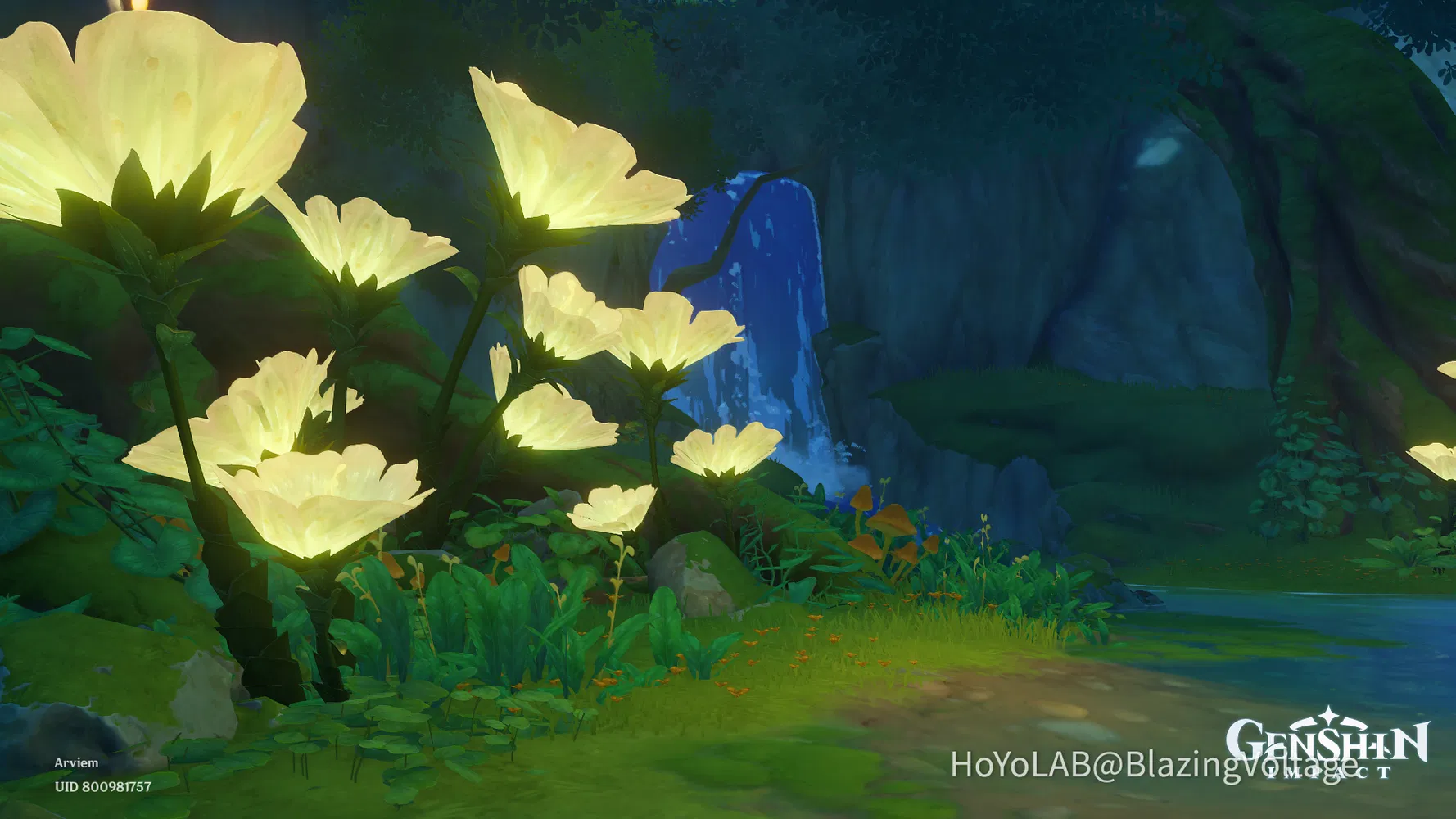 Sumeru's Special Creatures - Midnight Flowers Genshin Impact | HoYoLAB