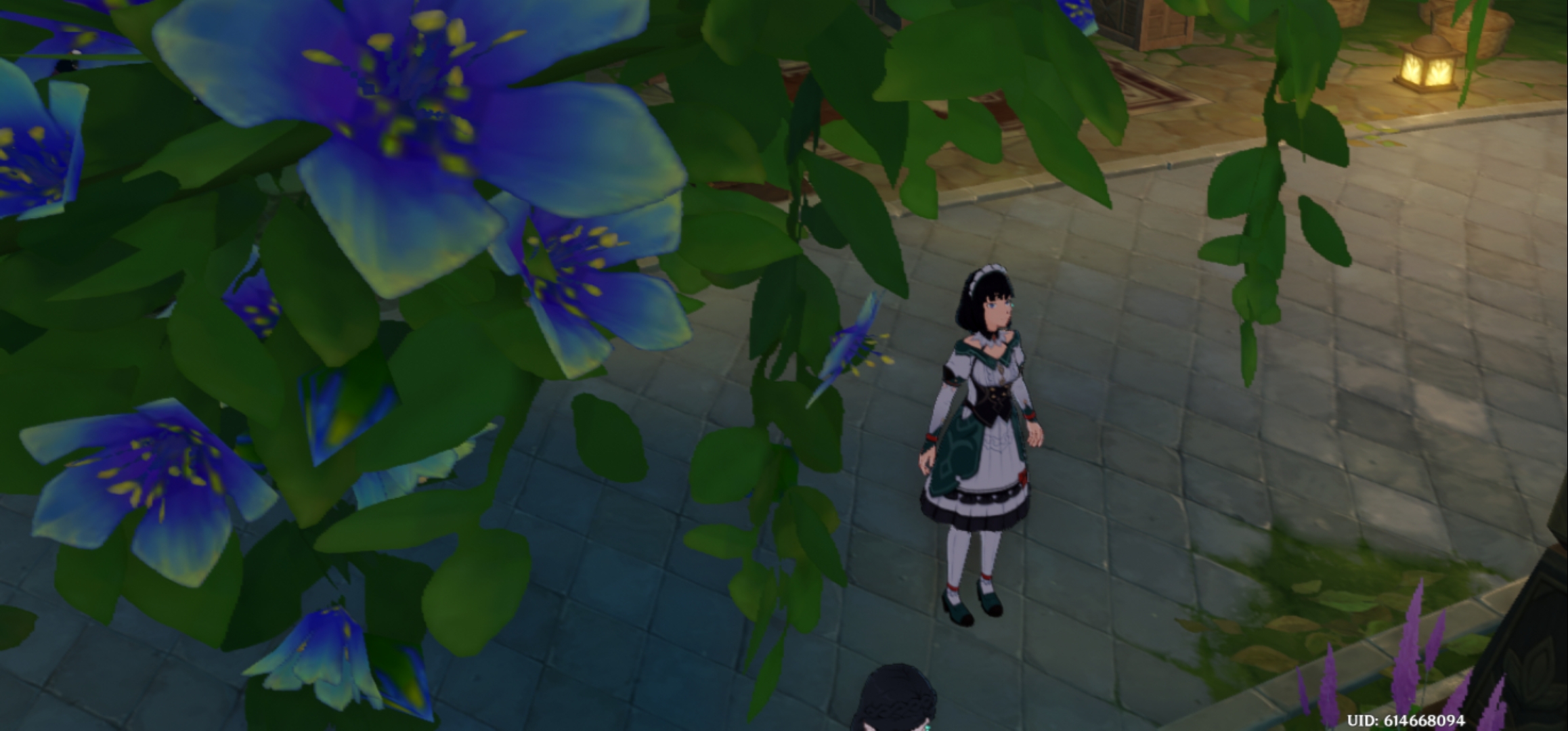 Katheryne??? Genshin Impact | HoYoLAB