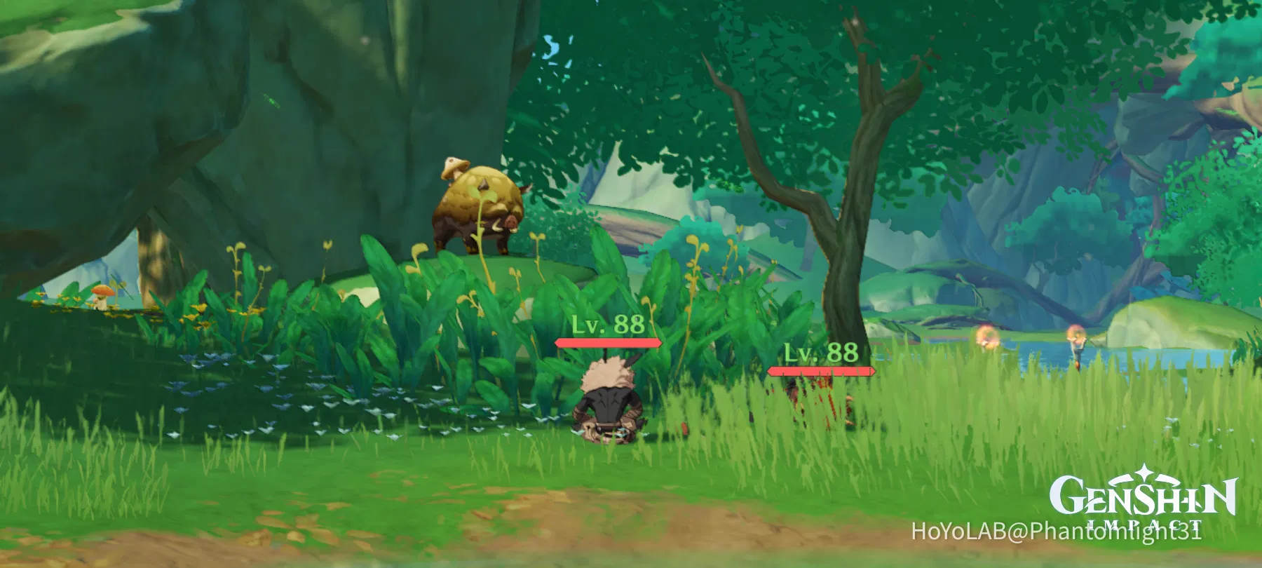 Sumeru Animals Genshin Impact | HoYoLAB