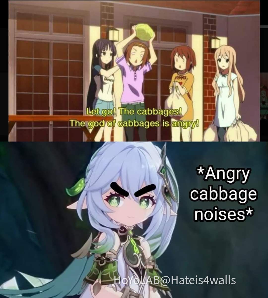 Angy cabbage Genshin Impact | HoYoLAB