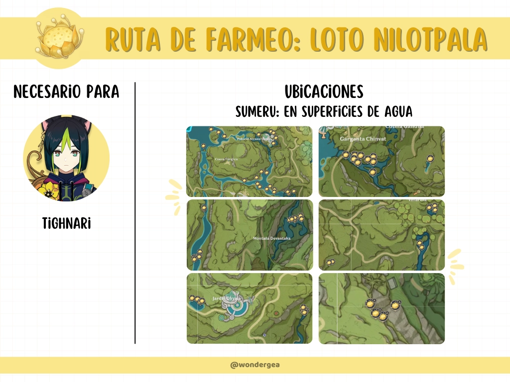 Ruta De Farmeo 30 Champiñón Rukkhashava And Loto Nilotpala Genshin Impact Hoyolab