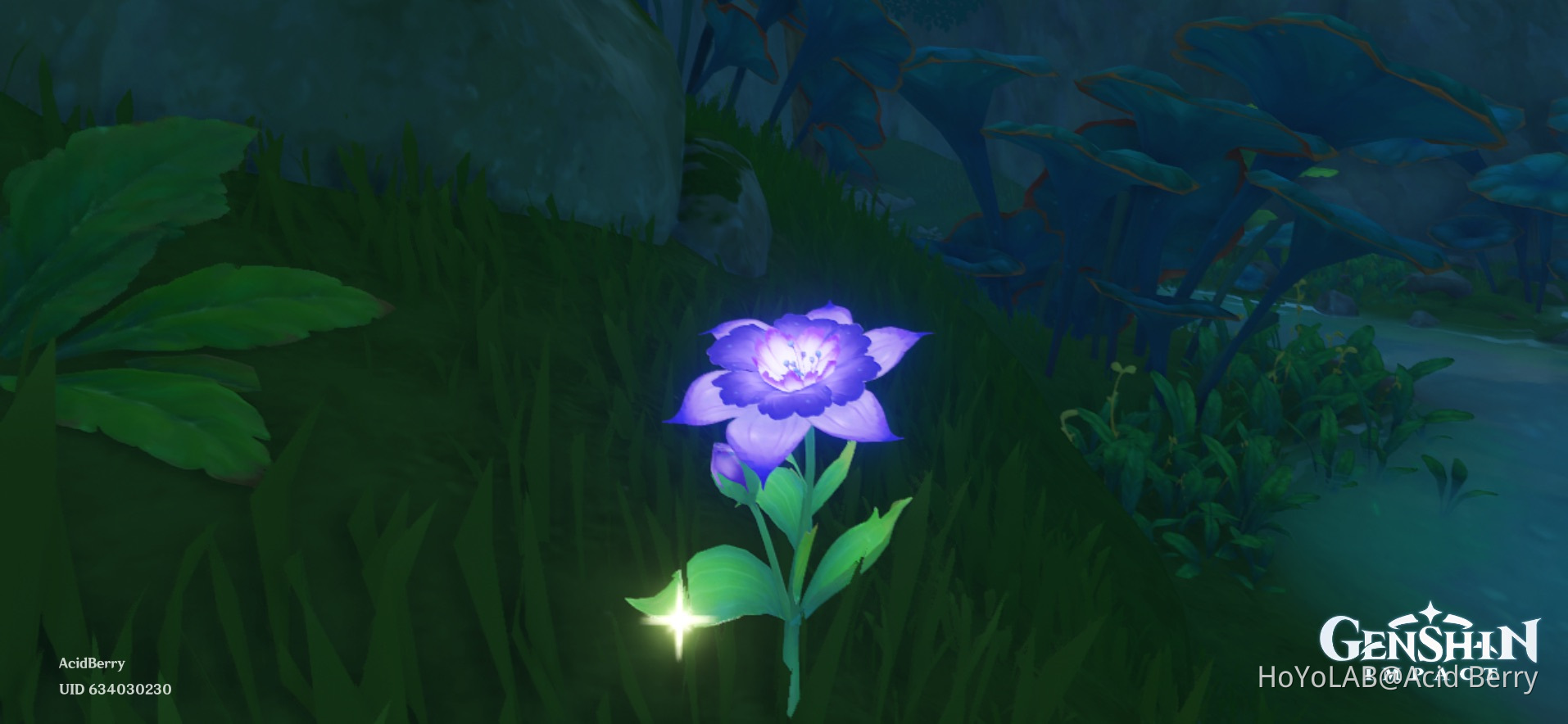 Sumeru Rose Genshin Impact | HoYoLAB