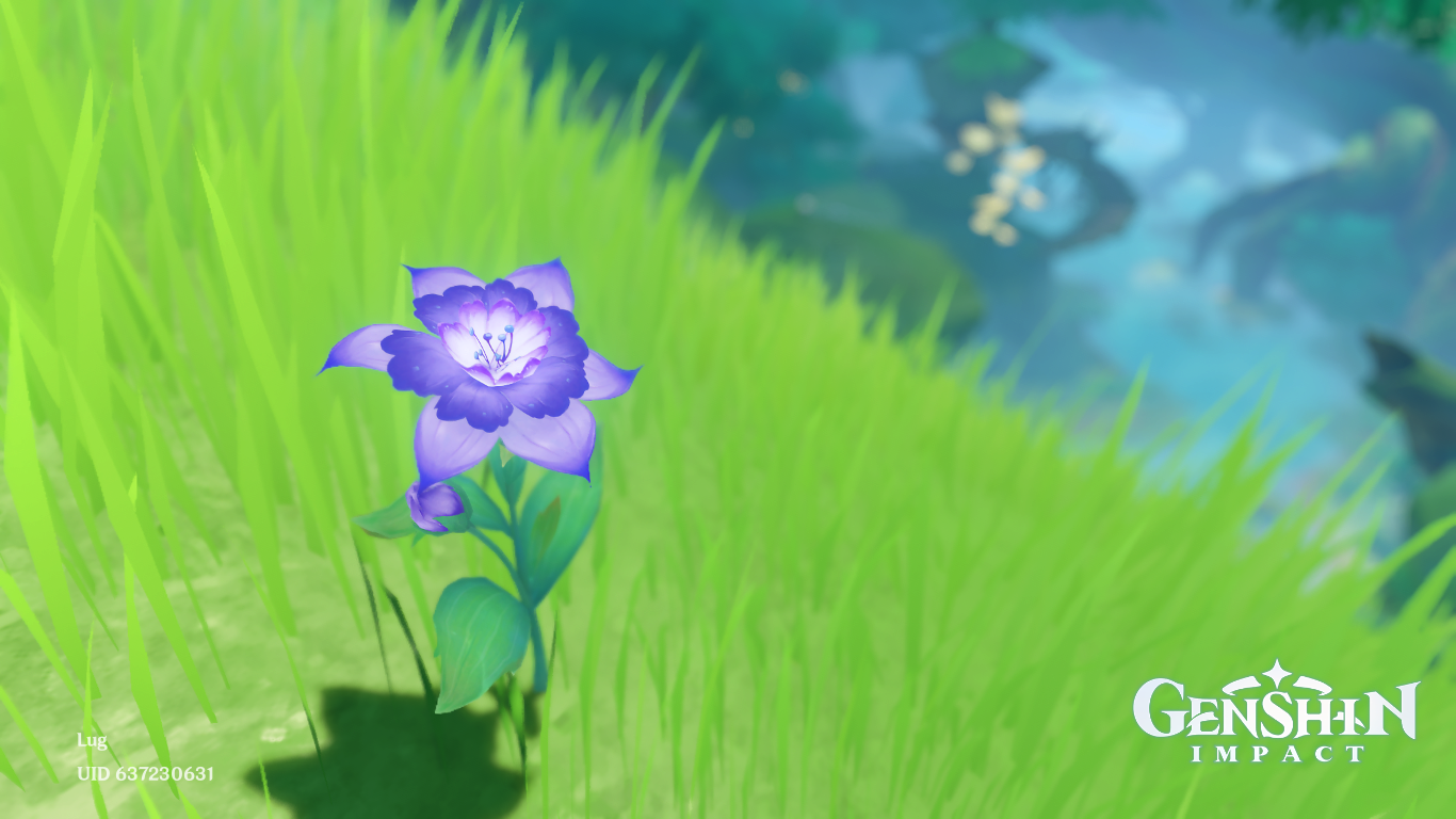 Photographer of Teyvat - Sumeru Genshin Impact | HoYoLAB