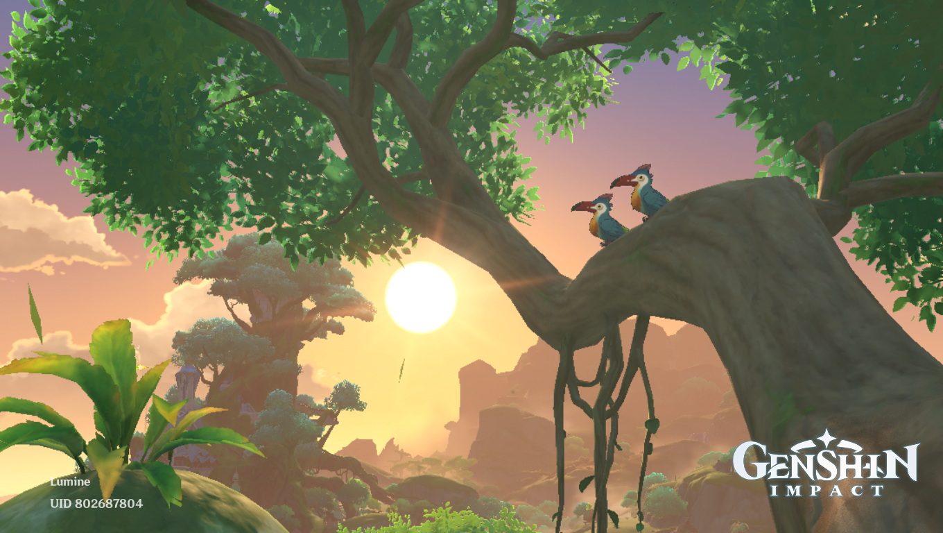 Sumeru's Special Creatures - Dusk Bird Genshin Impact | HoYoLAB