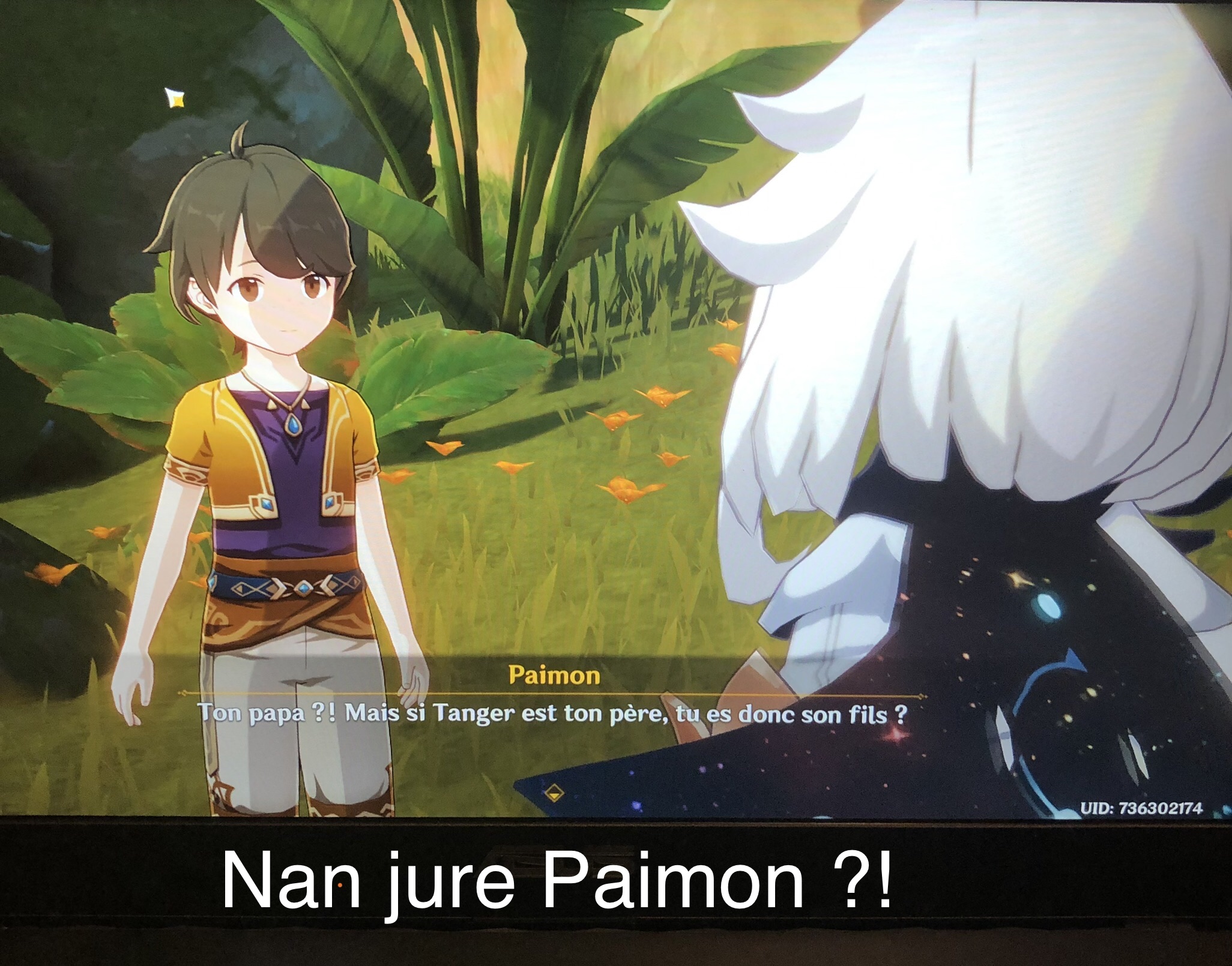 Paimon…😩 Genshin Impact | HoYoLAB