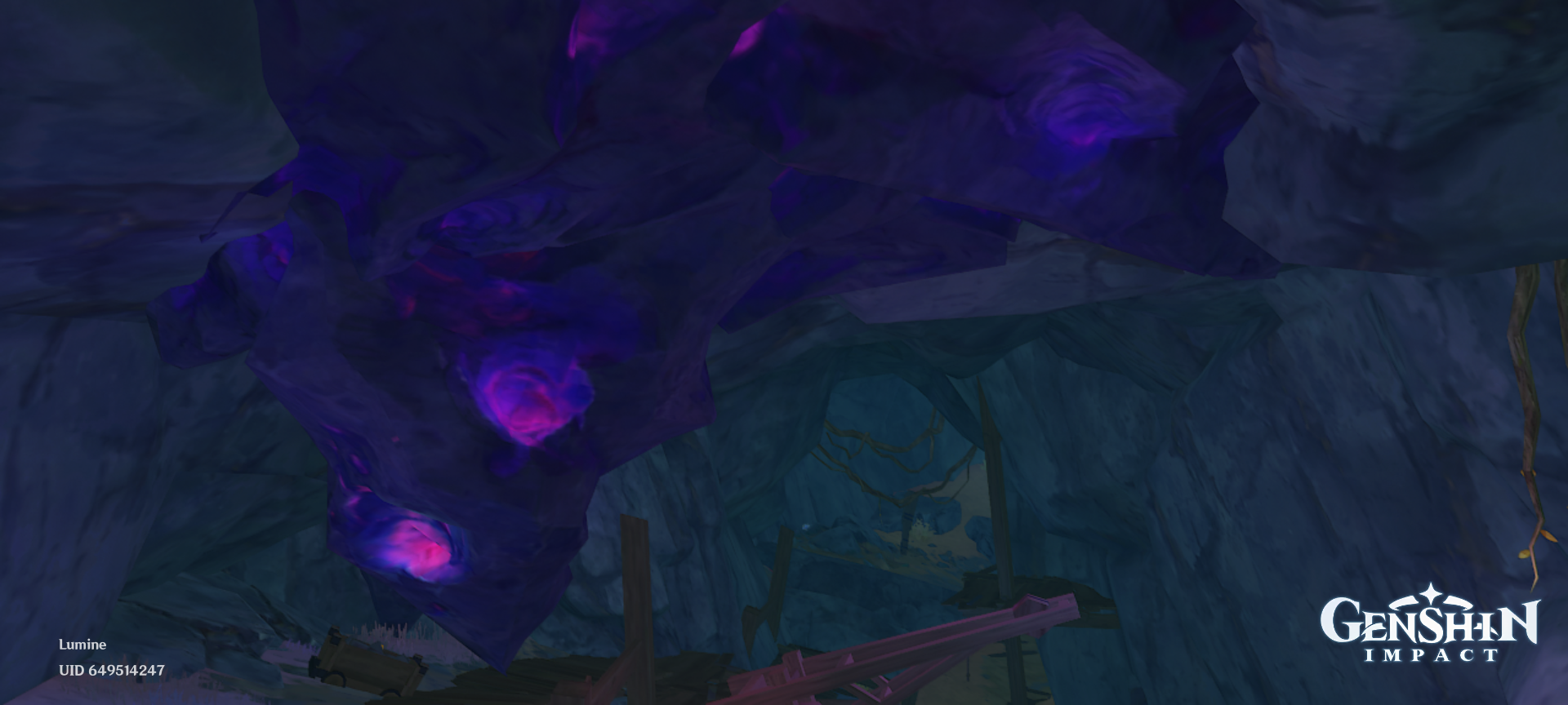 Chasma Genshin Impact | HoYoLAB