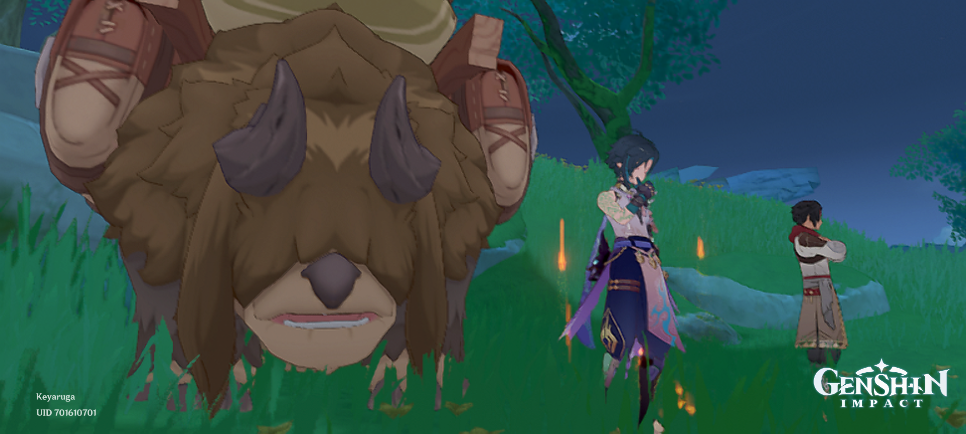 Sumeru Let's gooooo😍 ️‍🔥 | Genshin Impact | HoYoLAB