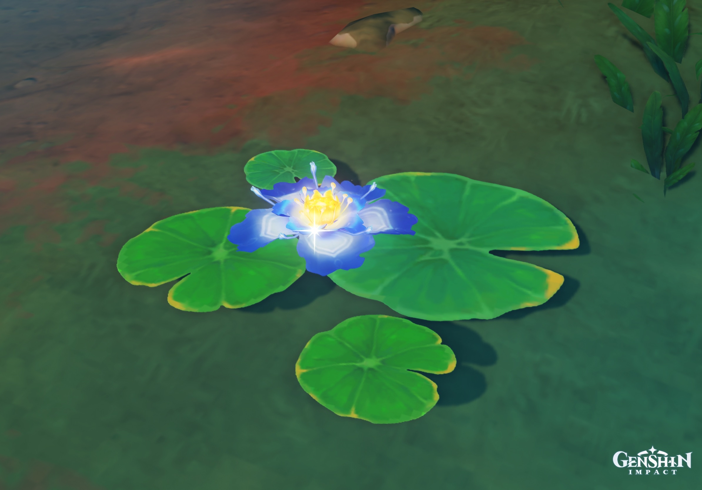 Sumeru Adventure Diary - August 26 Genshin Impact | HoYoLAB