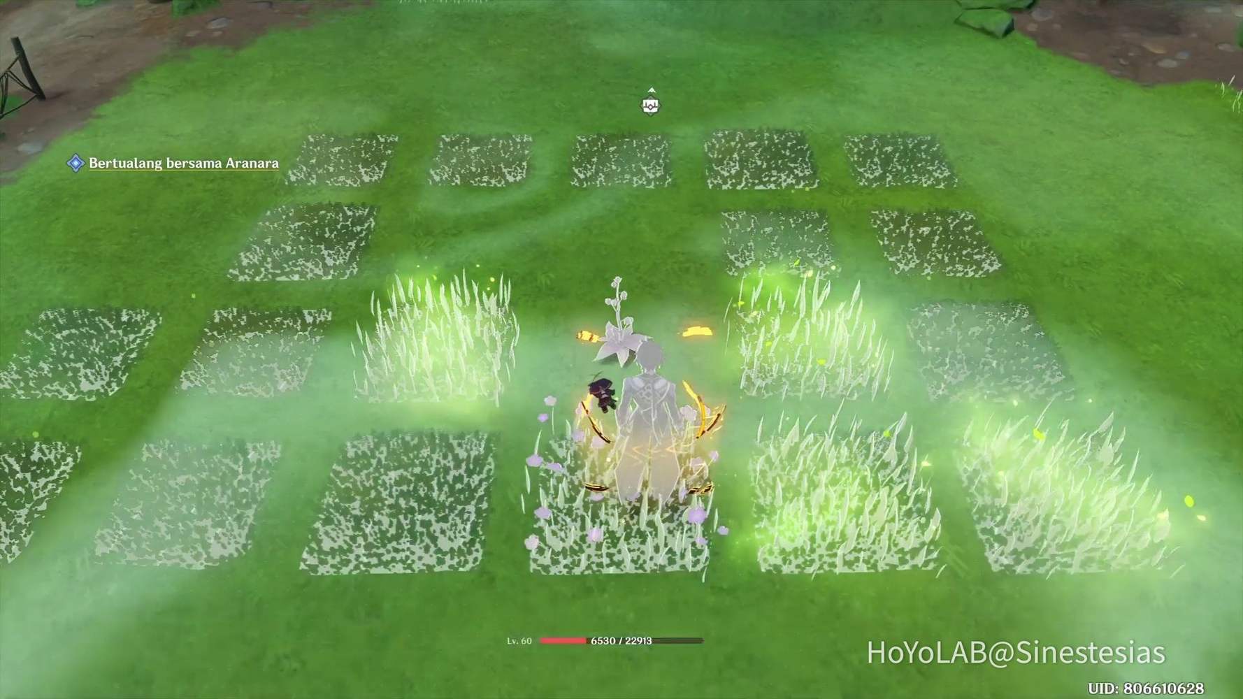 Semua Lokasi 12 Vasmrti - Hidden Quest Arakanula - Kebun Bibit Di Dalam ...