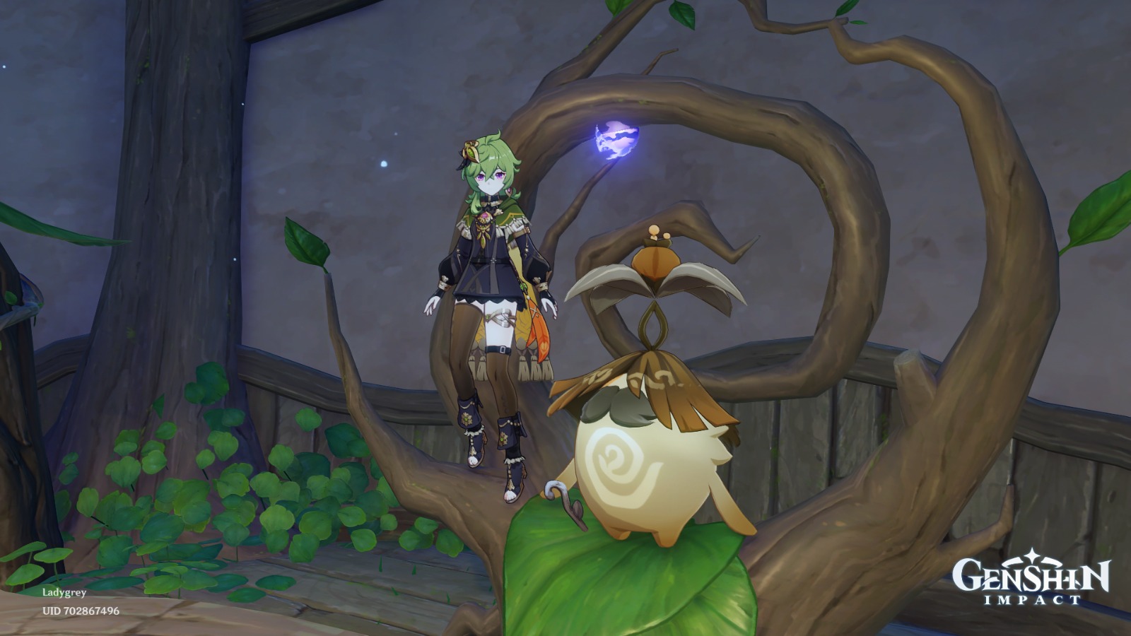 aranara! Genshin Impact | HoYoLAB