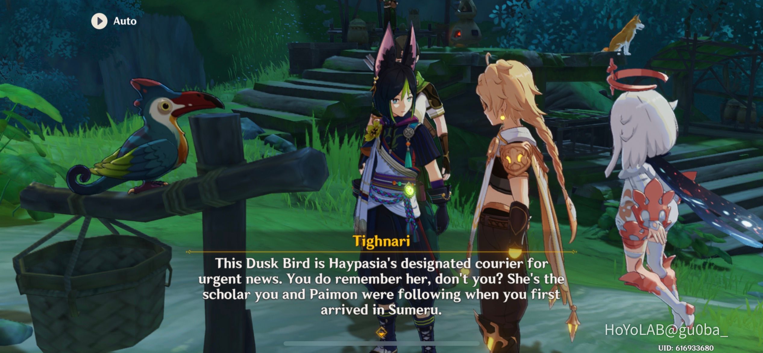 Sumeru Chronicle -August 27, 2022 Genshin Impact | HoYoLAB