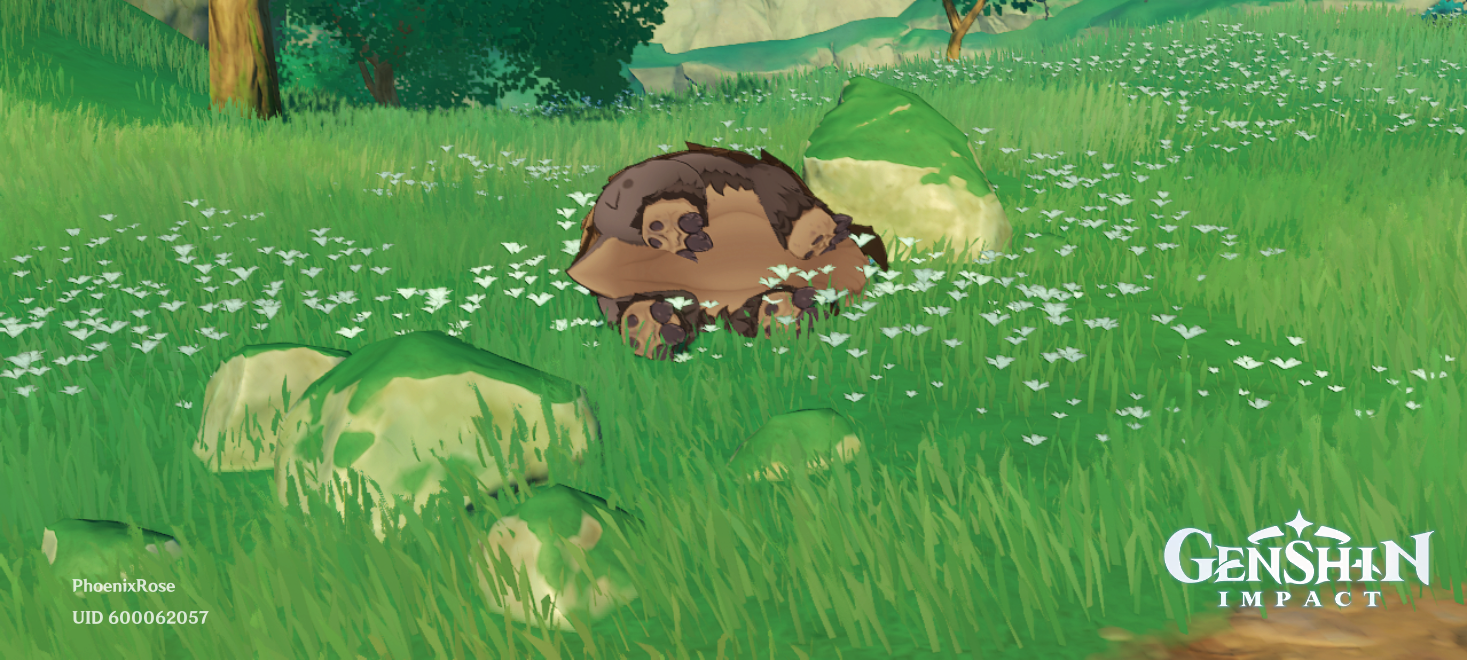 Weekend Goals Genshin Impact | HoYoLAB