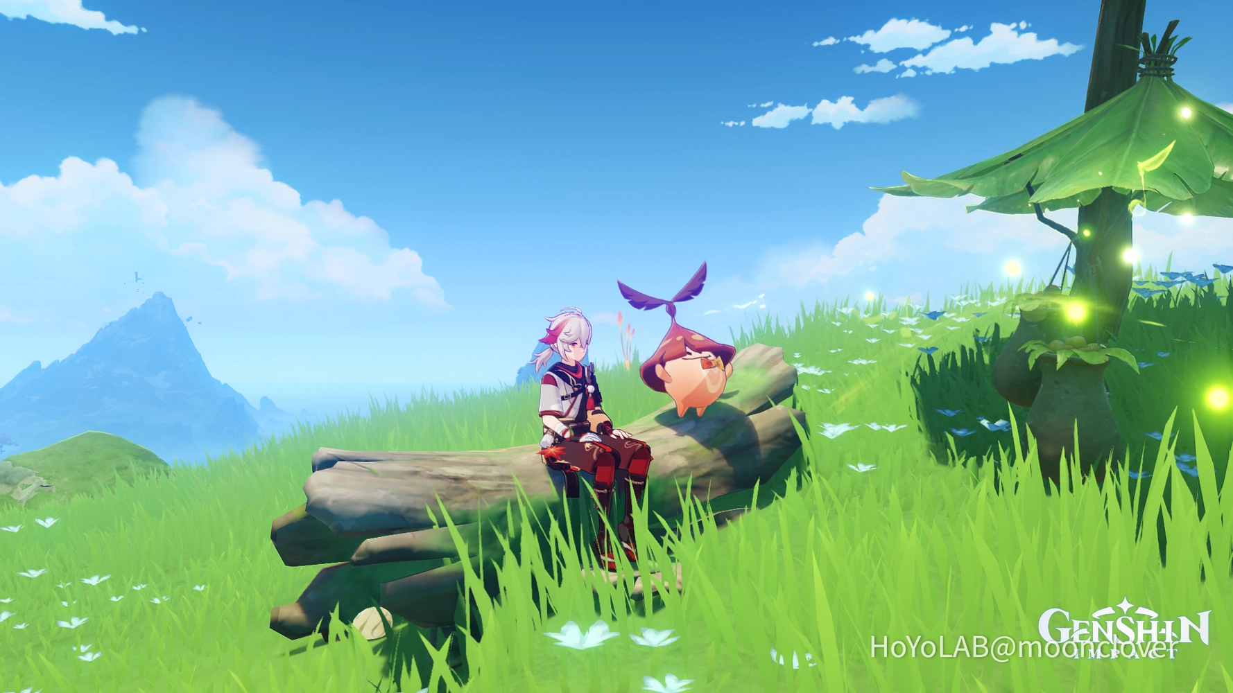 Sumeru Diary - August 28 Genshin Impact | HoYoLAB