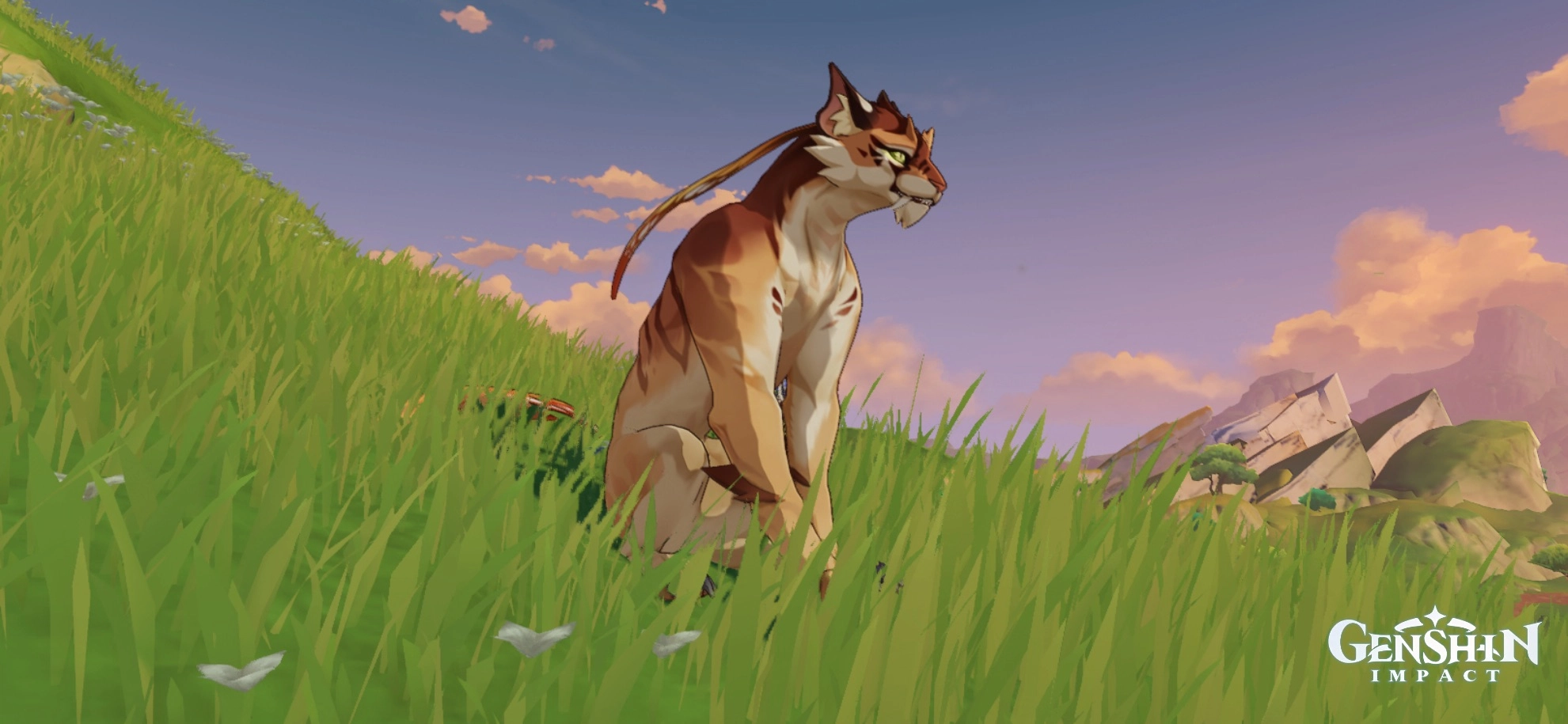 A photogenic rishboland tiger Genshin Impact | HoYoLAB