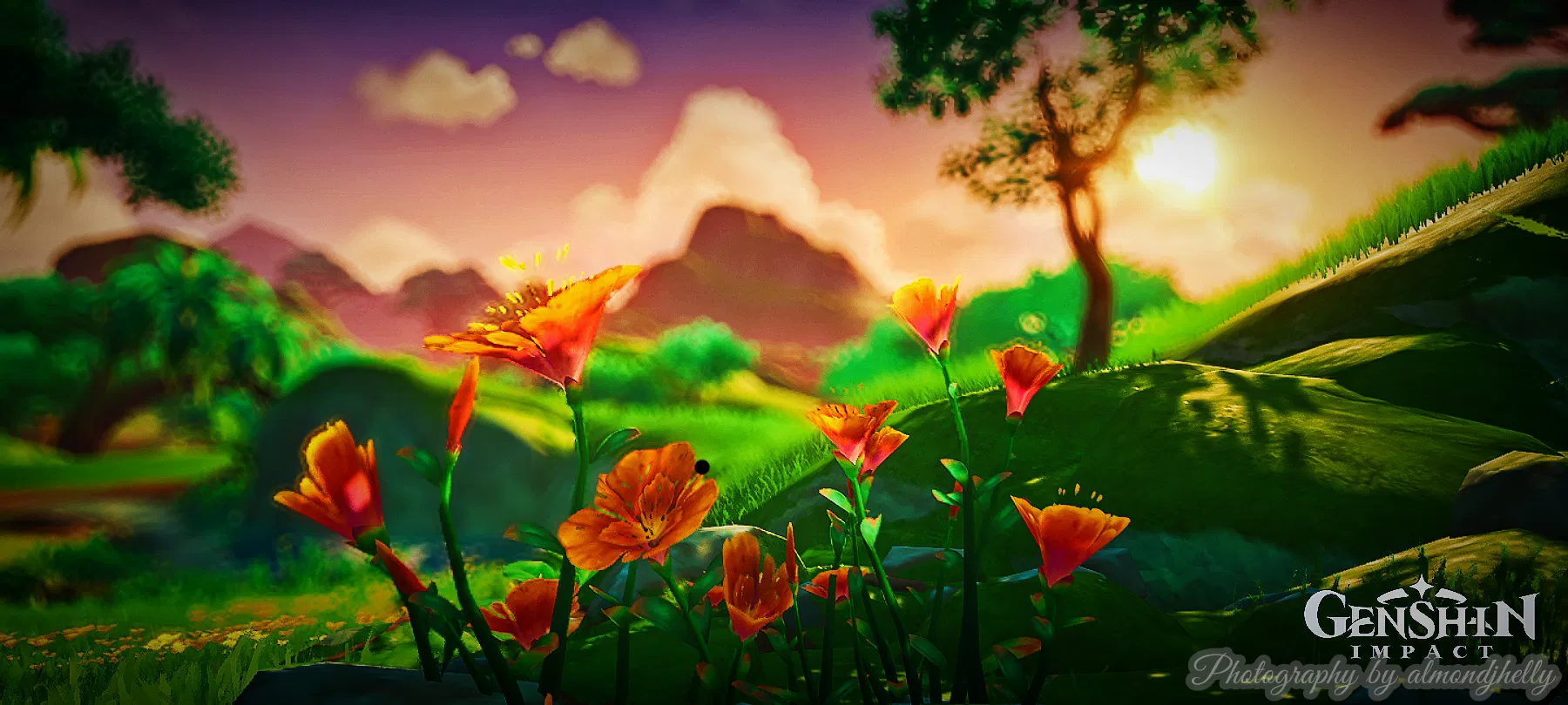 Beautiful Flowers in Sumeru Genshin Impact | HoYoLAB