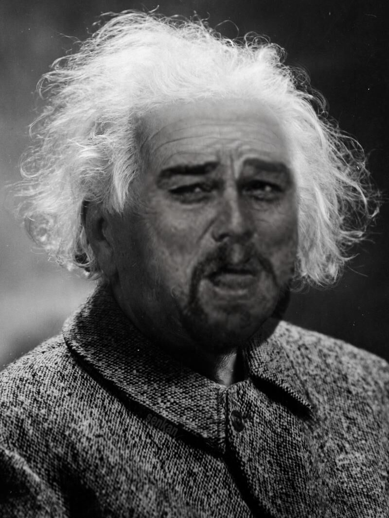 Seeing other people get double 5* knowing damn well that won't be me Genshin Impact | HoYoLAB