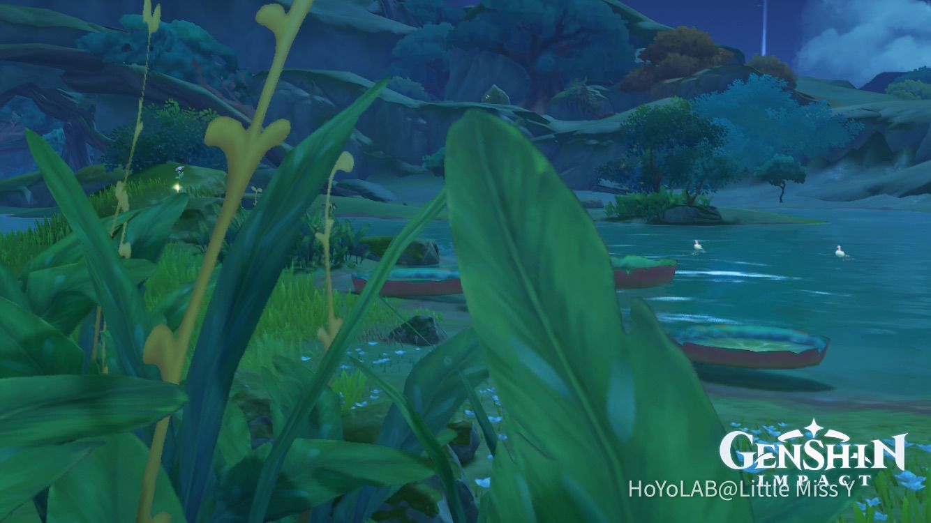 The nature! Genshin Impact | HoYoLAB